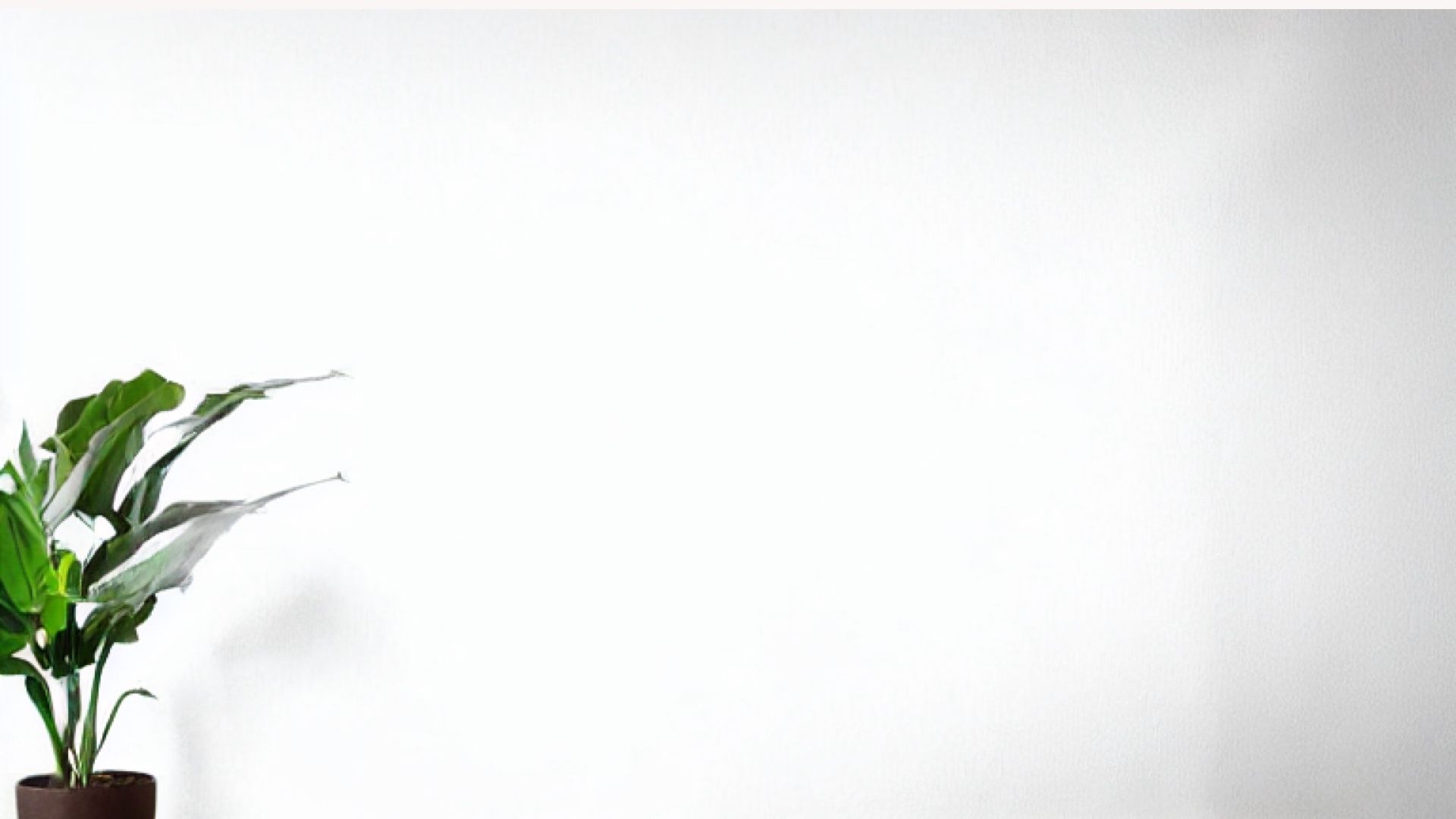 Plant Wallpapers Download HD Plant Backgrounds Free Download