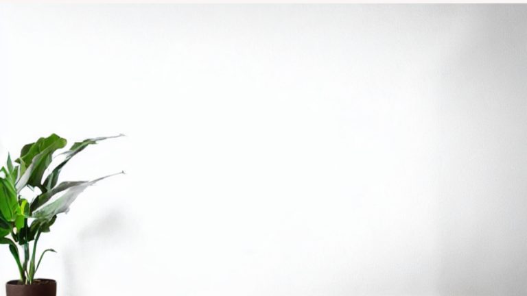 Simple Zoom background – White wall and a plant | V Background